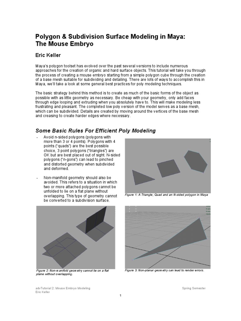 Mouse Embryo Modeling | PDF | Vertex (Geometry) | Shape