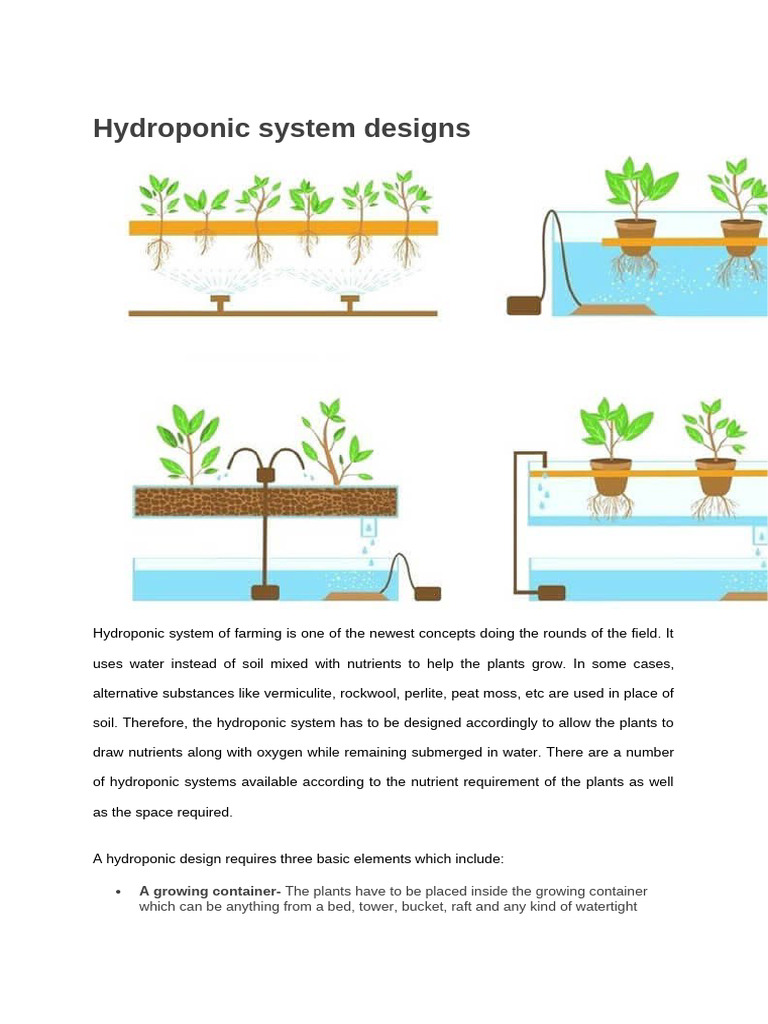 Hydroponic System Designs | PDF | Hydroponics | Earth Sciences