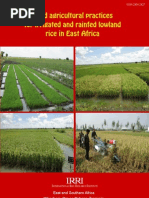 Covo Rugare Gold PLUS | PDF | Fertilizer | Seed