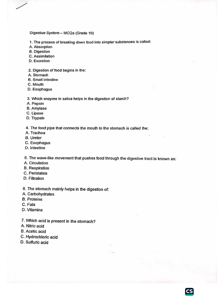 Biology (Digestive System & Nervous System) - Grade 10 | PDF