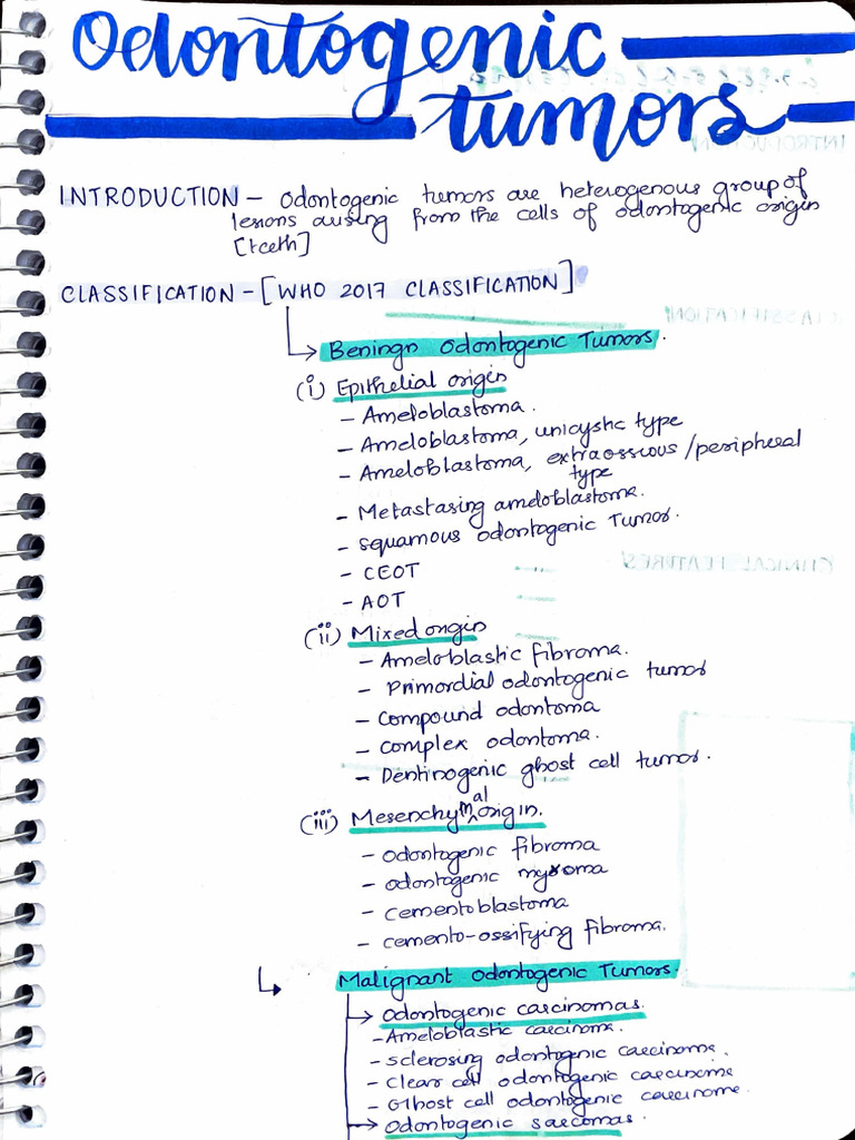 Ameloblastoma Omfs | PDF