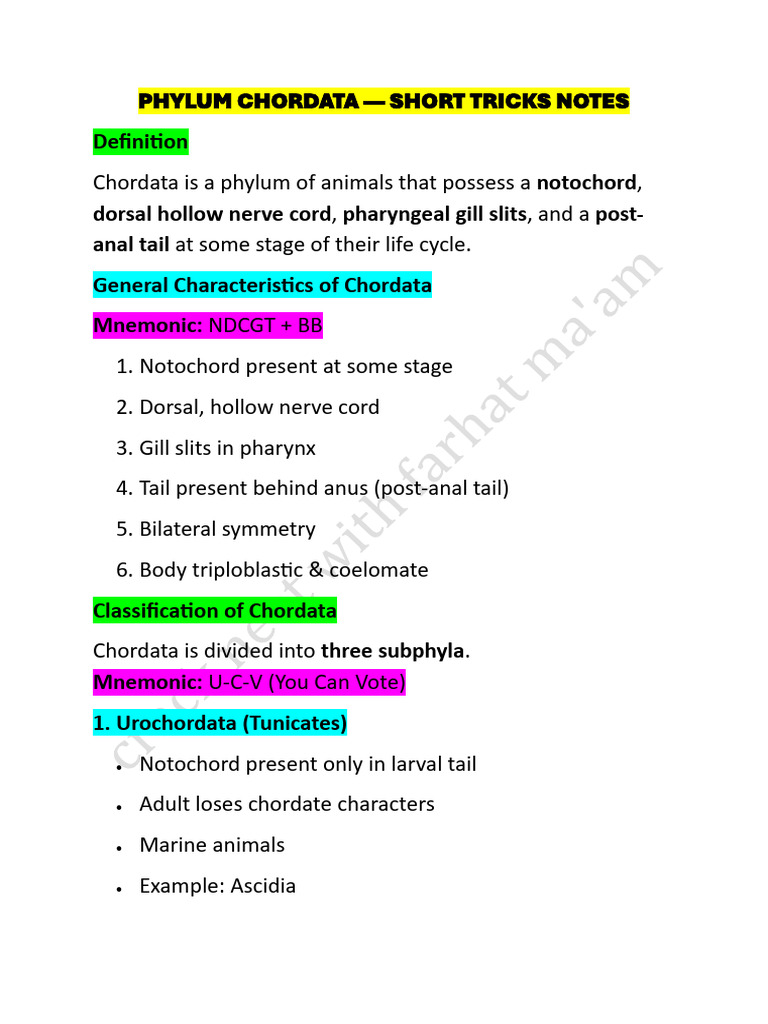 PHYLUM CHORDATA Short Trick Notes | PDF | Vertebrates | Zoology
