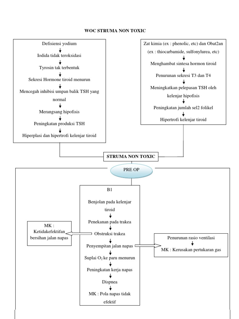 Woc Struma Non Toksik | PDF