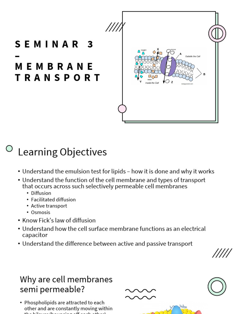 Membrane Transport Final | PDF | Cell Membrane | Biological Membrane