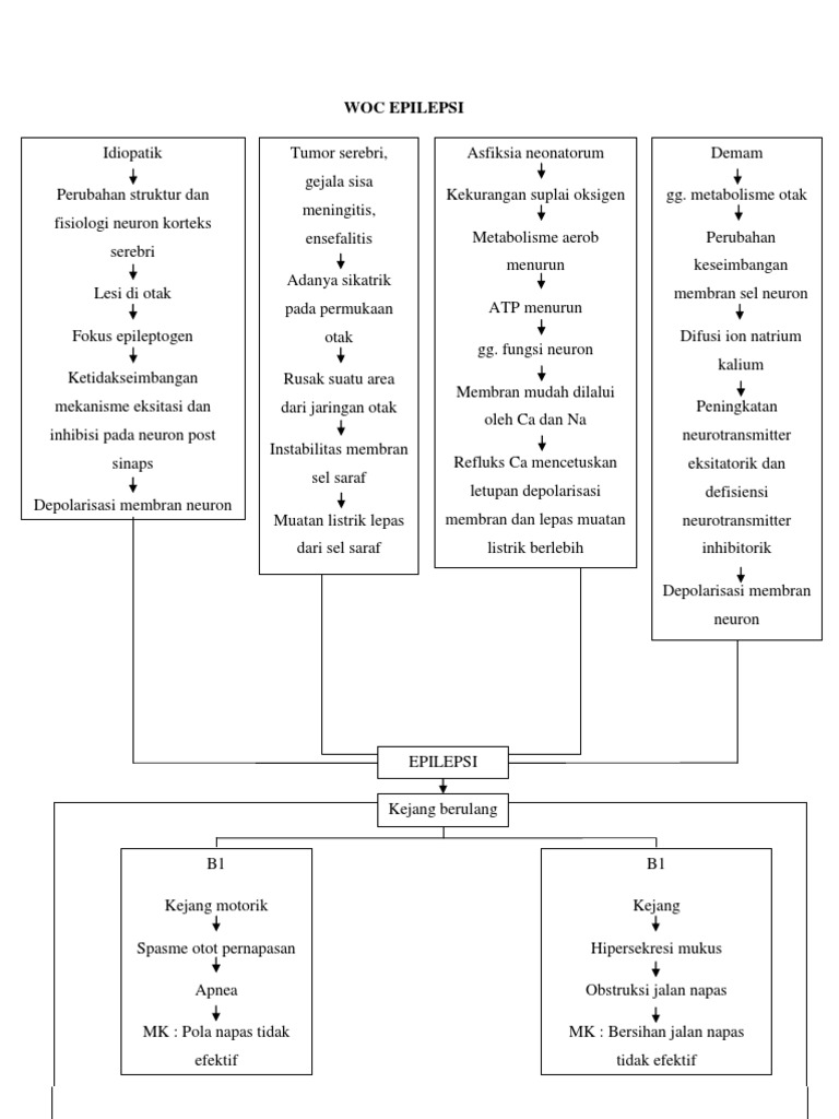 WOC Epilepsi: Patofisiologi dan Penanganan | PDF