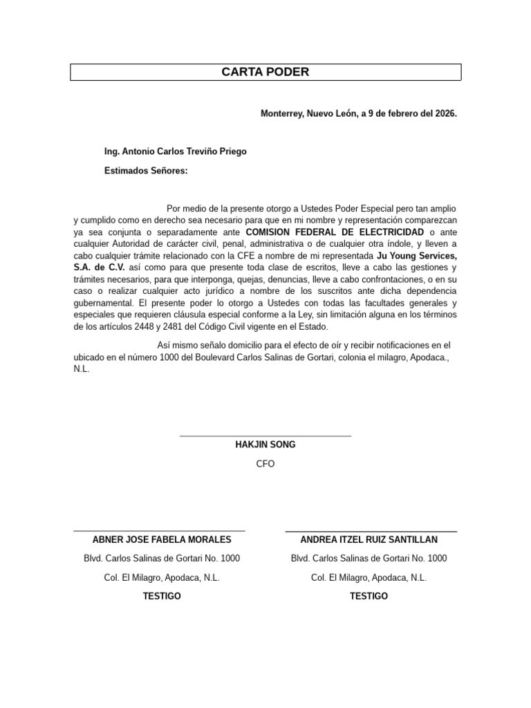 Carta Poder Cfe | PDF