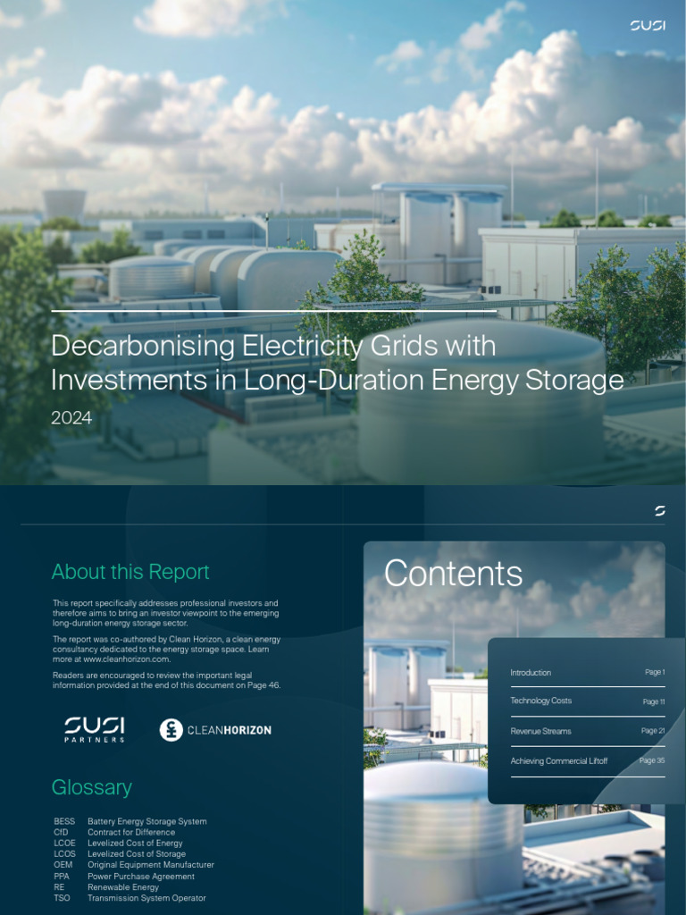 Decarbonising Electricity Grids With Investments in LDES - SUSI ...
