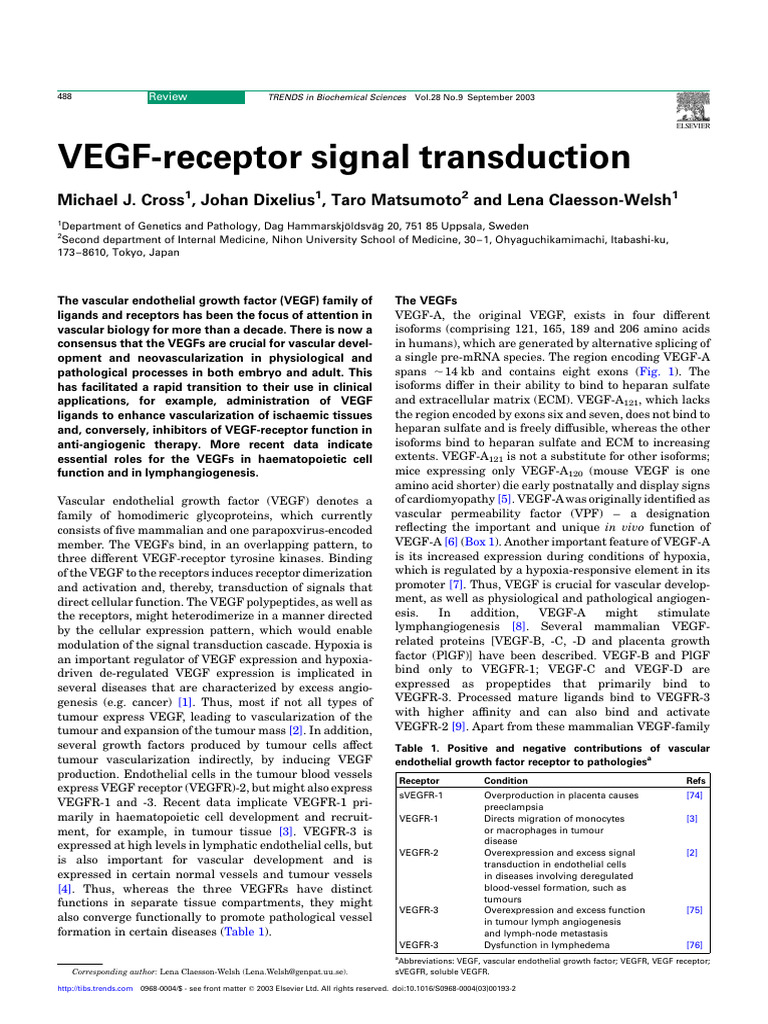Vegf-Receptor Signal Transduction | PDF | Vascular Endothelial Growth ...