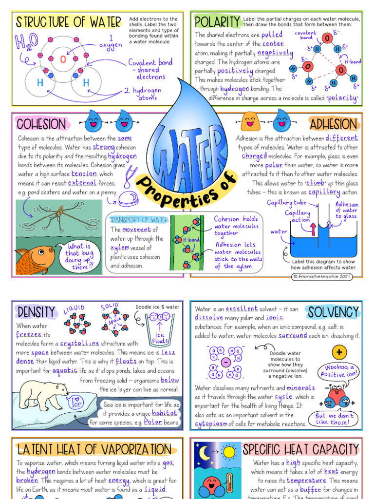 08 Properties of Water - Completed Example | PDF | Water | Properties ...