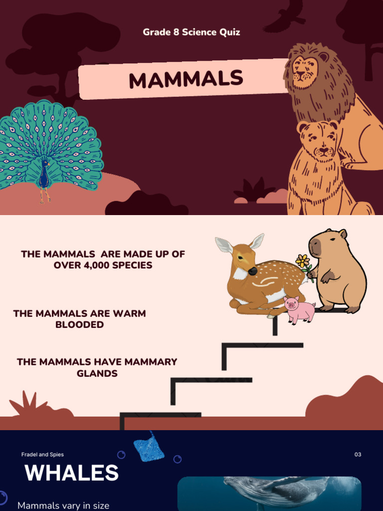 Mammals | PDF