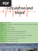 AS & A Level Biology 9700 Syllabus 2025-2027 | PDF | Artery ...