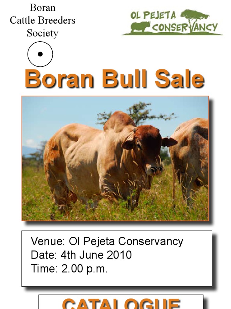 Bull Sale Catalogue 2010small | PDF | Horse Breeding | Horses