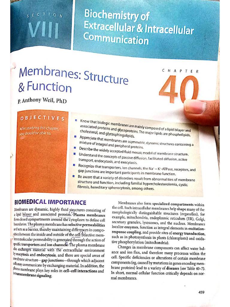 Biochemistry (The Cell) | PDF