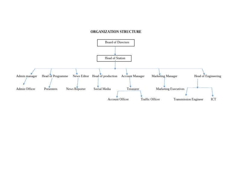 Organization Structure | PDF
