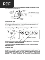 Le Carpelle : Organe des Angiospermes | PDF | Fruit | Embryon