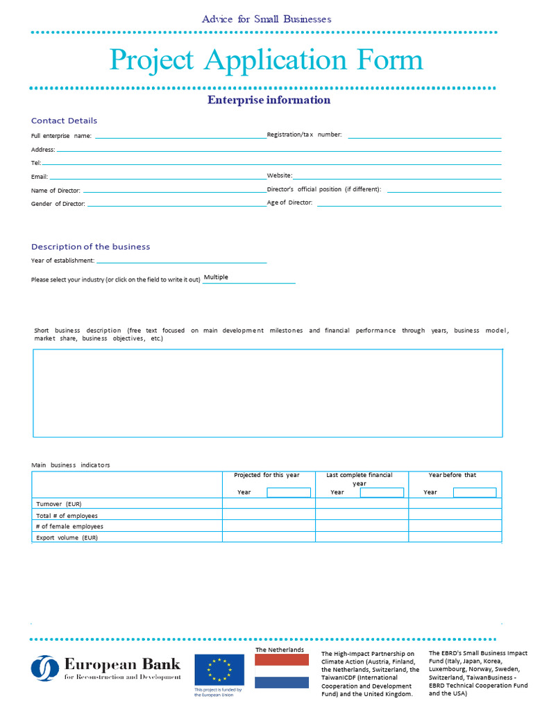 New Advisory Project Application Form 2022 ENG - Egypt | PDF | Business ...