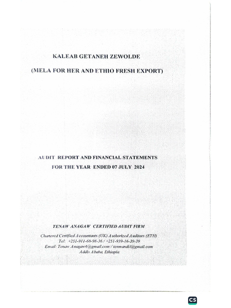 Audit Report 2024 | PDF
