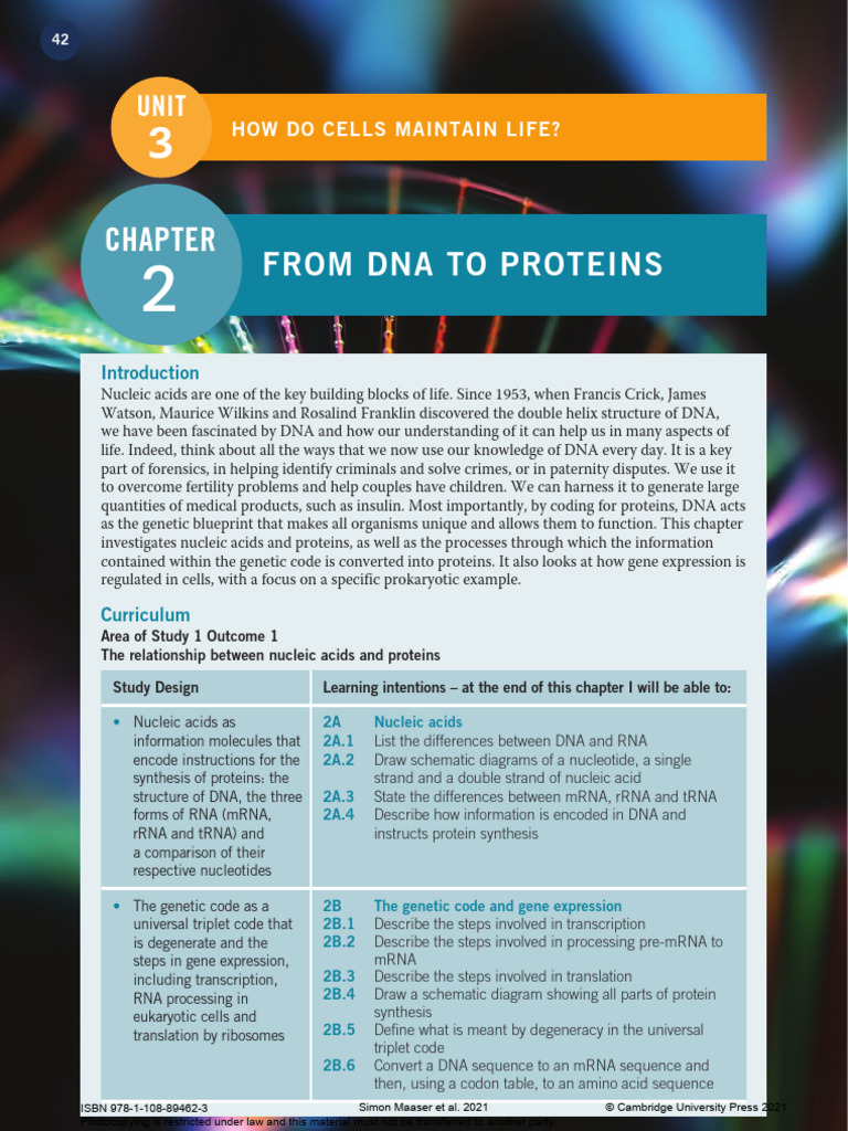 Chapter 2 From DNA to Proteins (3) | PDF | Nucleic Acids | Rna