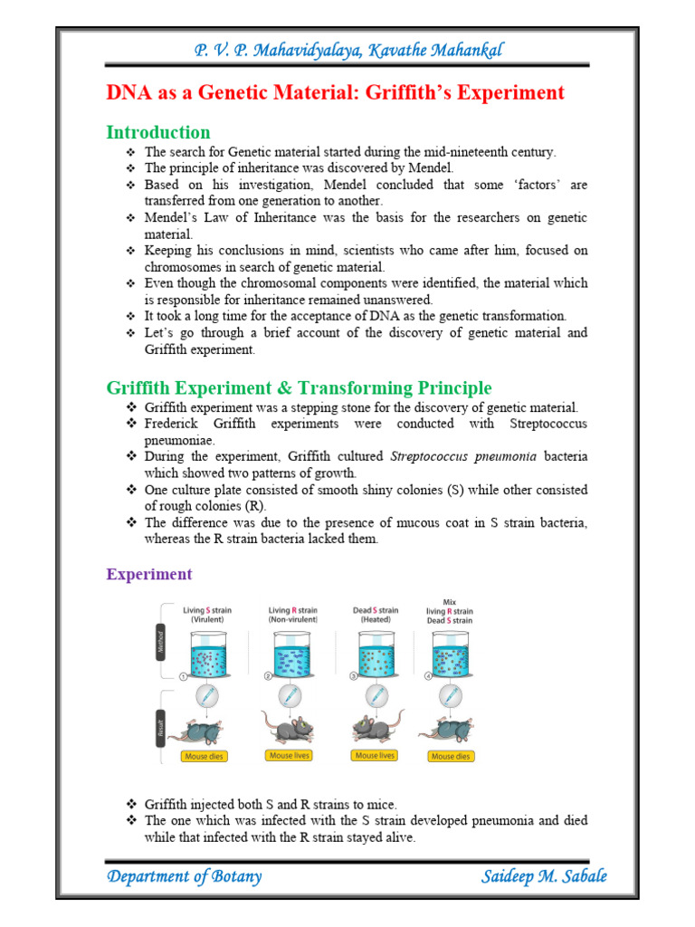 Griffith Expt.- DNA as a Genetic Material | PDF | Genetics | Dna