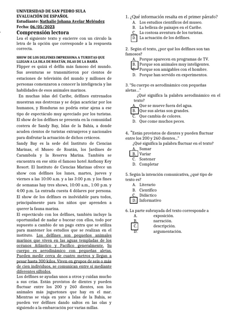 Prueba Diagnóstica de Español - Avelar - Nathalie | PDF