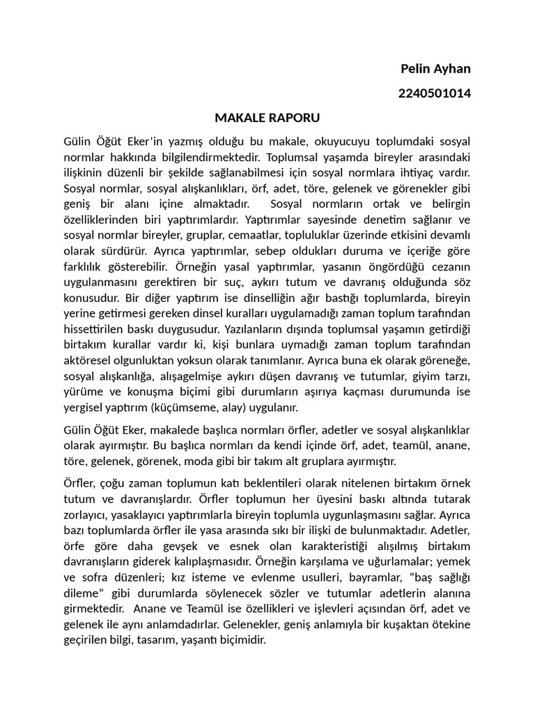Makale Raporu Pelin Ayhan | PDF