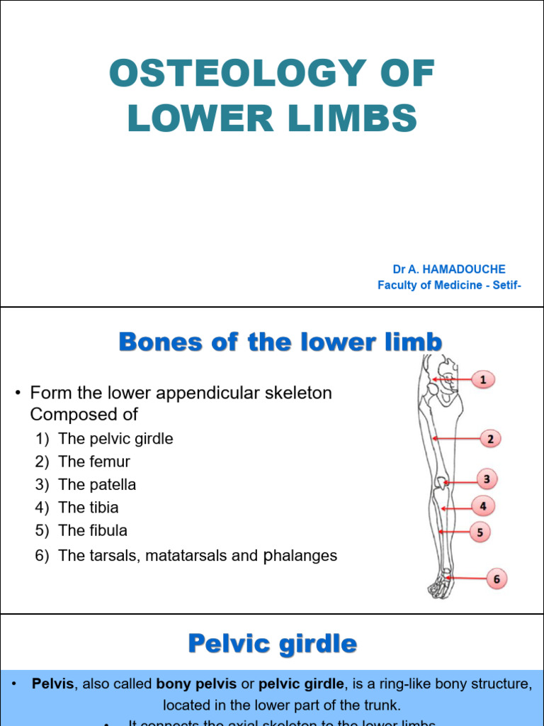 03-Osteology of Lower Limbs - Unlocked | PDF | Pelvis | Knee
