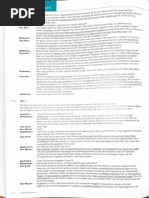 Kontext B2 Testheft Transkript | PDF