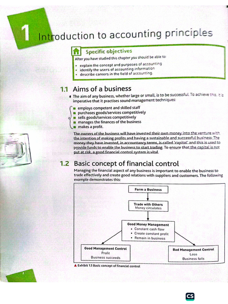 Introduction to Accounting Principles | PDF