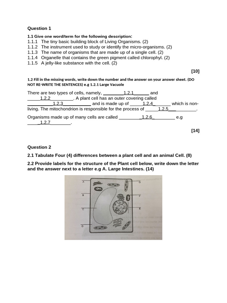 Grade 9 Ns Controlled Test | PDF