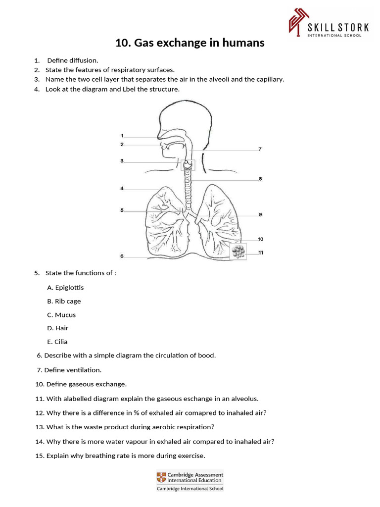 Question Bank of Gas Exchange | PDF