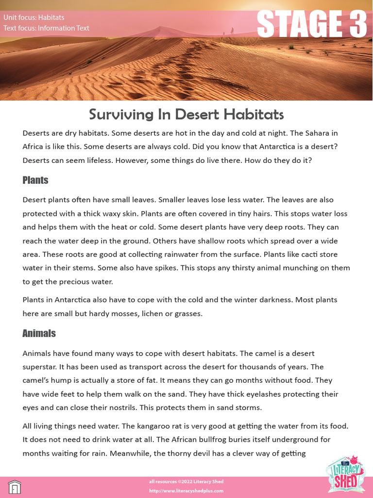 Surviving in Desert Habitats Stage 3 Comprehension - Comprehension ...