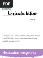Anatomía del triángulo de Calot y Buddé | PDF | Vesícula biliar | Hígado