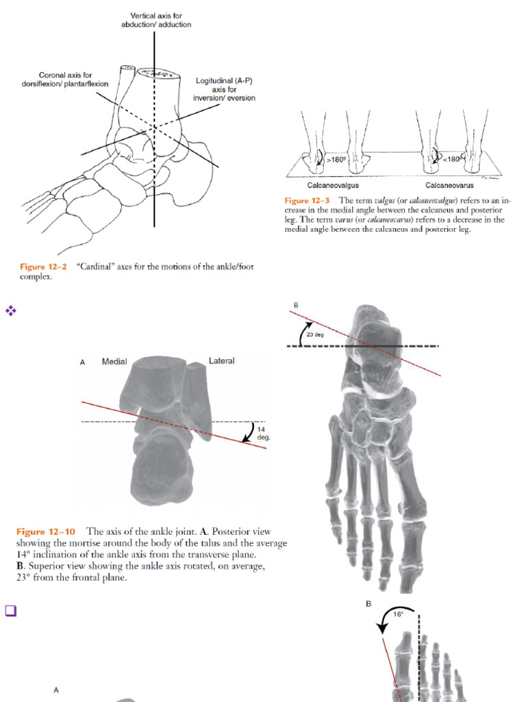 Axis FOOT | PDF