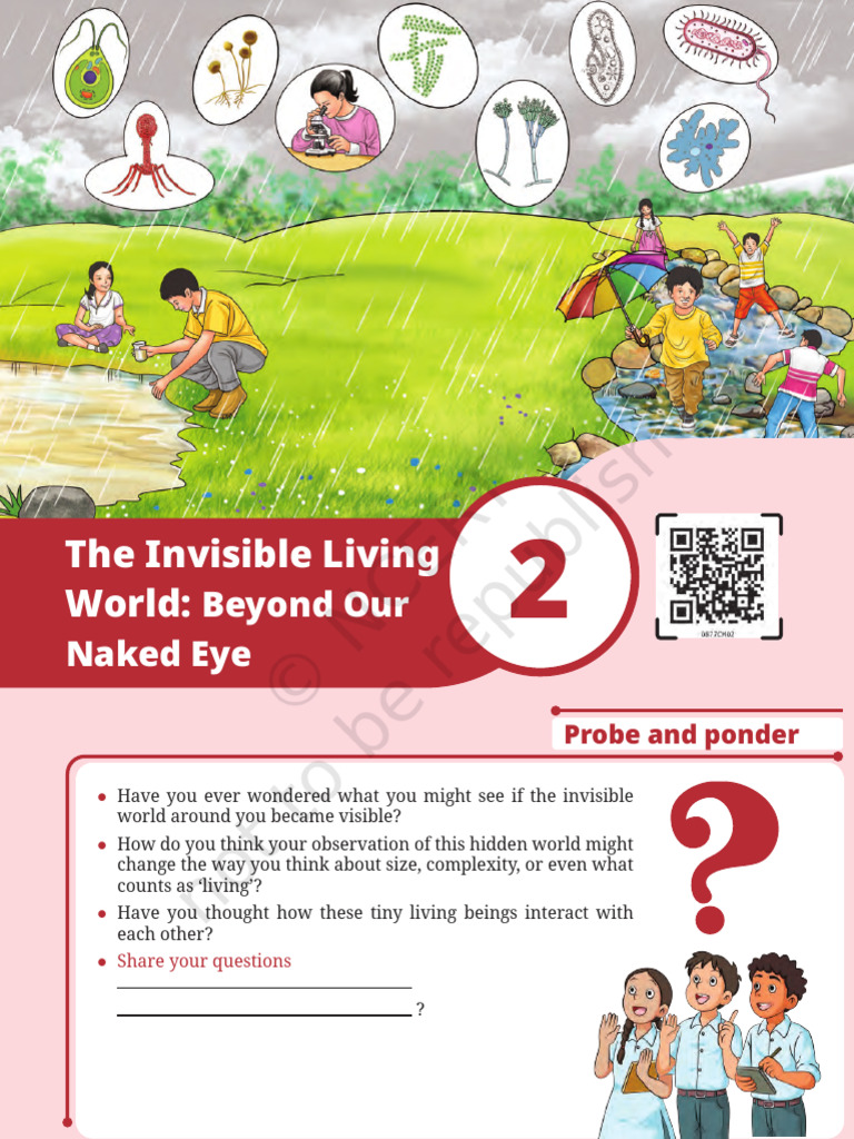 The Invisible Living World | PDF | Cell (Biology) | Microorganism