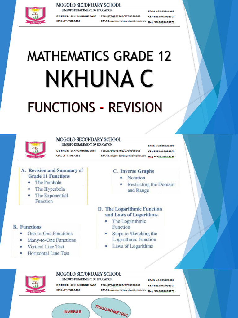 Functions Grade 12 | PDF