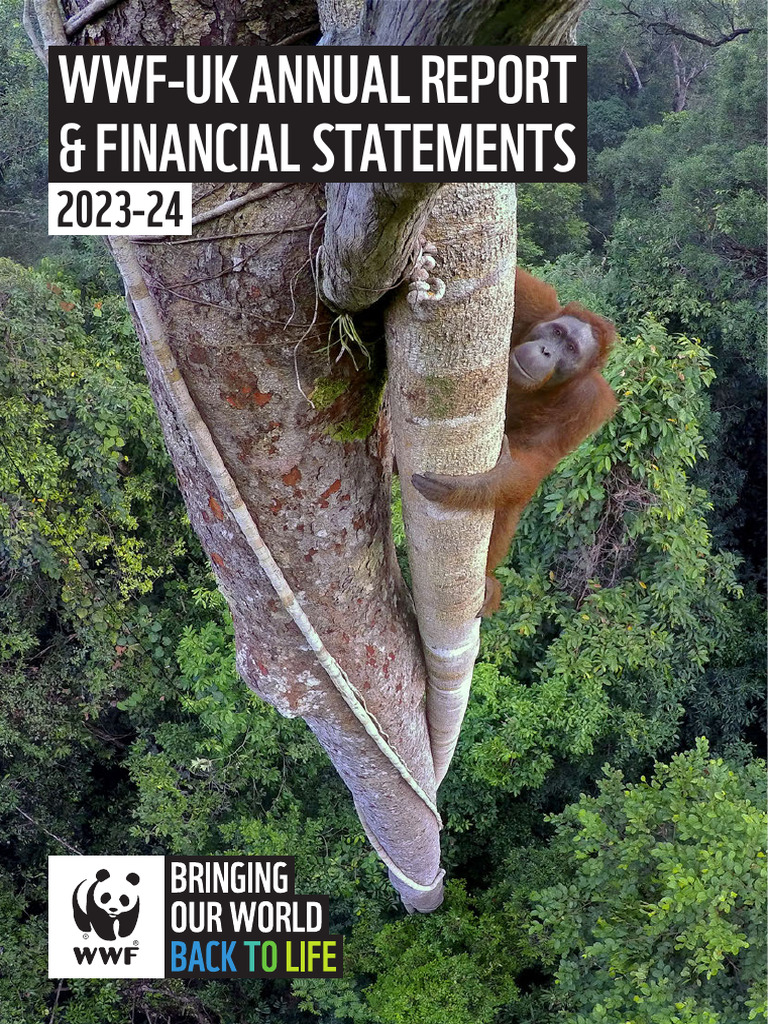 WWF UK Annual Report and Financial Statements 2023 24 | PDF | World ...