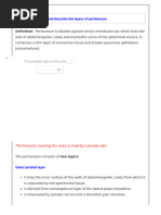 Anatomy of the Peritoneum Explained | PDF | Peritoneum | Anatomy