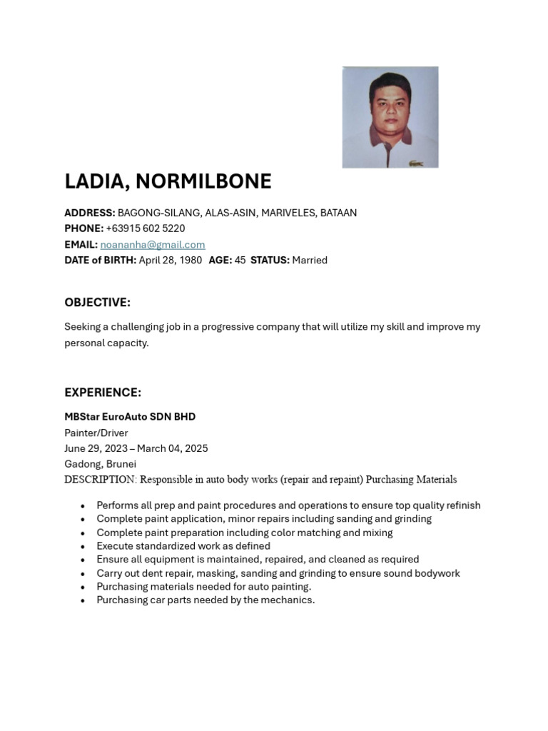 Ladia - Painter Driver | PDF | Paint | Paintings