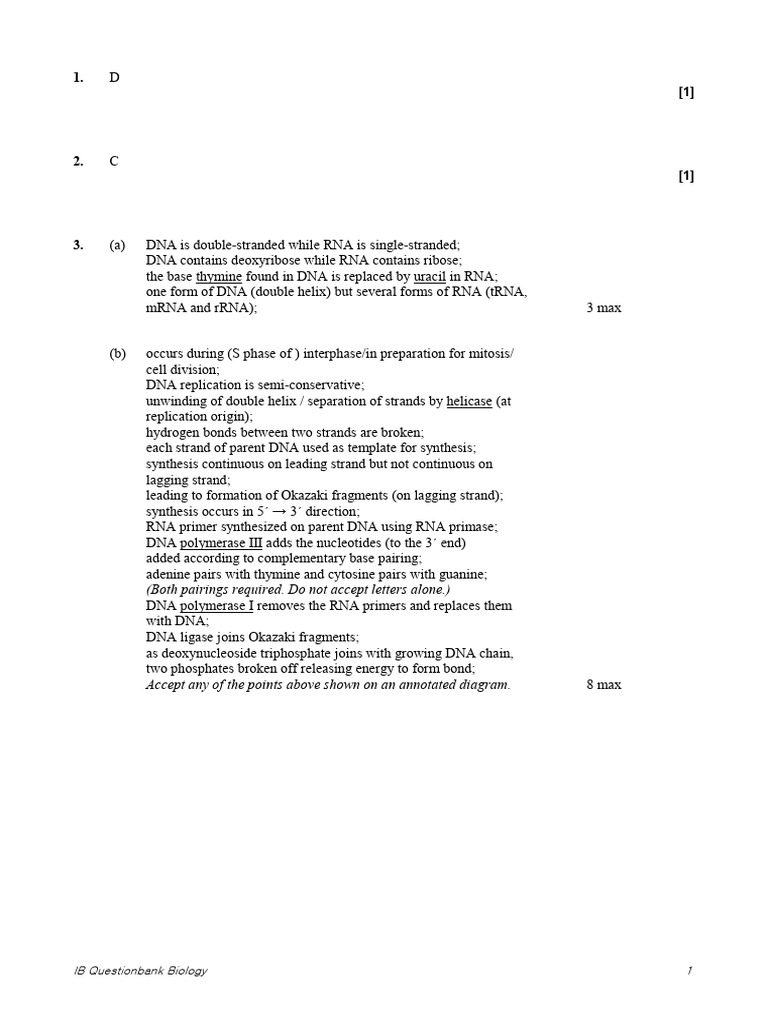 Ib Biology Membrane Enzyme Dna Protein Synthesis Ms | PDF | Dna | Dna ...