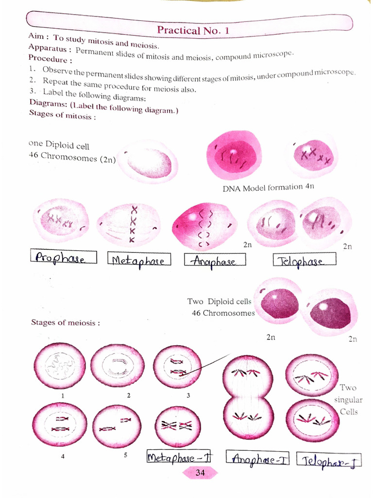 Science-2 Solution P.D.F | PDF