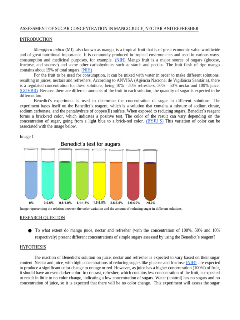 Lab Report - Beatriz Russio | PDF | Juice | Diet & Nutrition