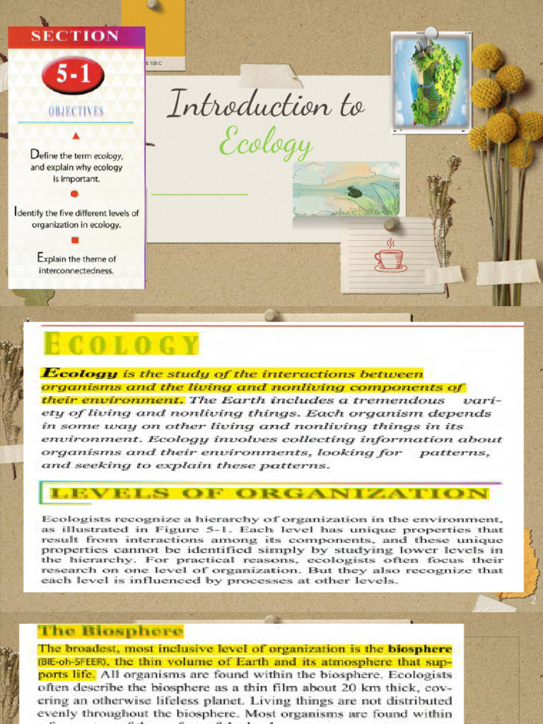 Chapter 5 New | PDF | Ecosystem | Ecology