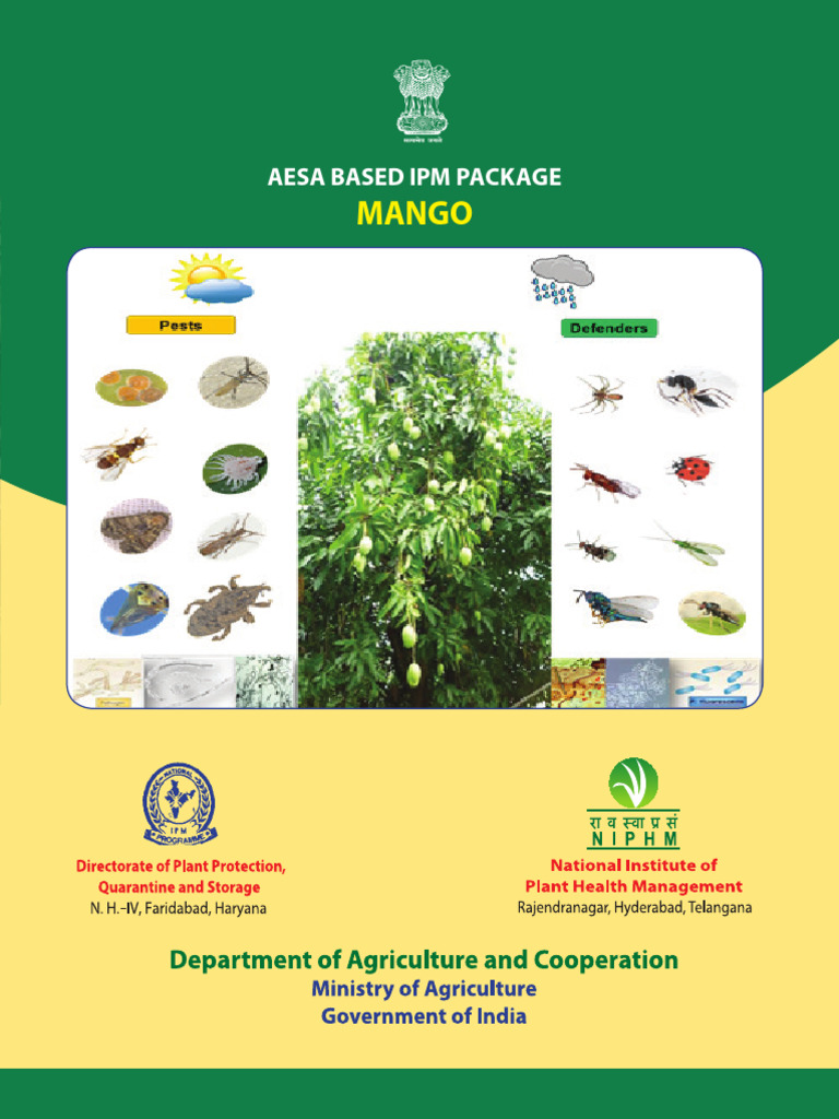 Mango | PDF | Pest (Organism) | Pest Control