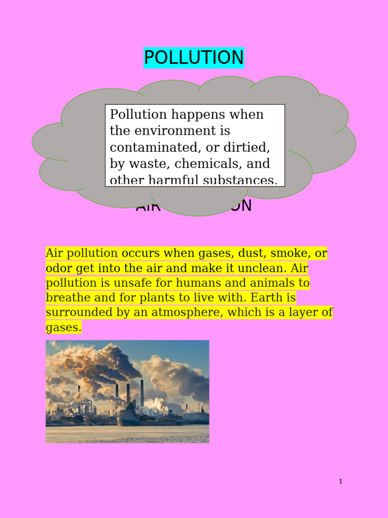 Pollution Project | PDF