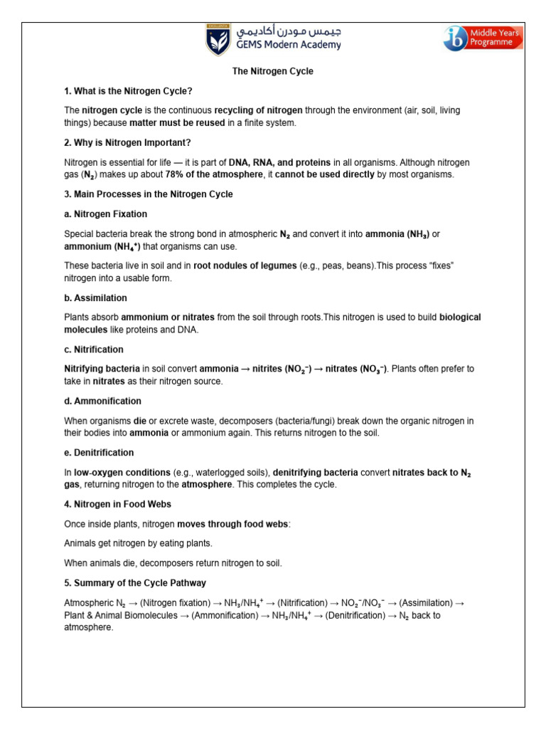Nitrogen Cycle Notes | PDF