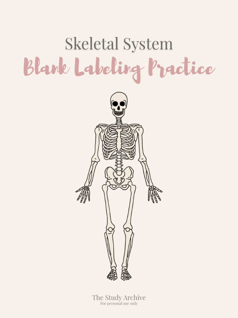 Skeletal System Labeling Practice Pages Free Anatomy PDF | PDF | Cráneo ...