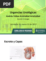 Anatomía del Escroto y Testículos | PDF | Testículo | Especialidades ...