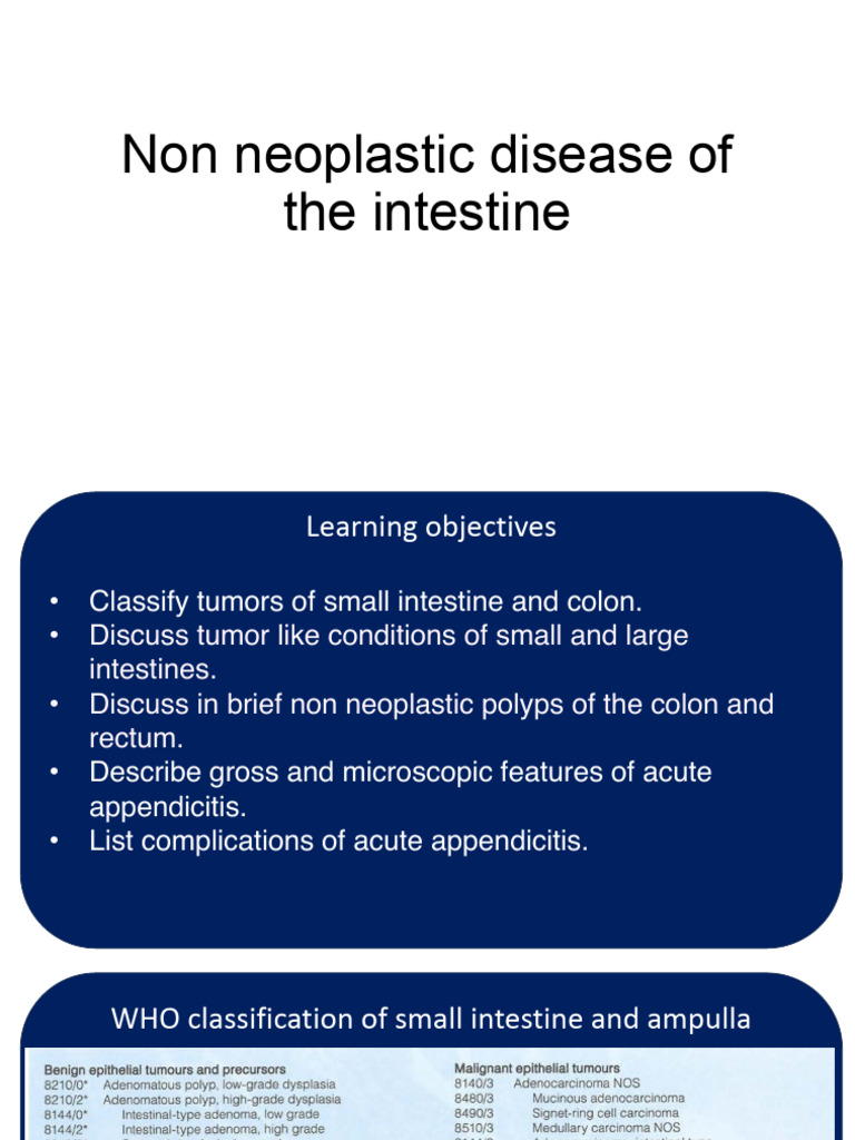25th August Non Neoplastic Disease of The Intestine PDF | PDF | Adenoma ...