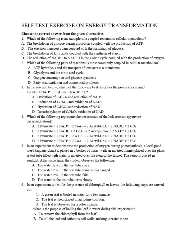 Self Test Exercise On Energy Transformation | PDF | Cellular ...