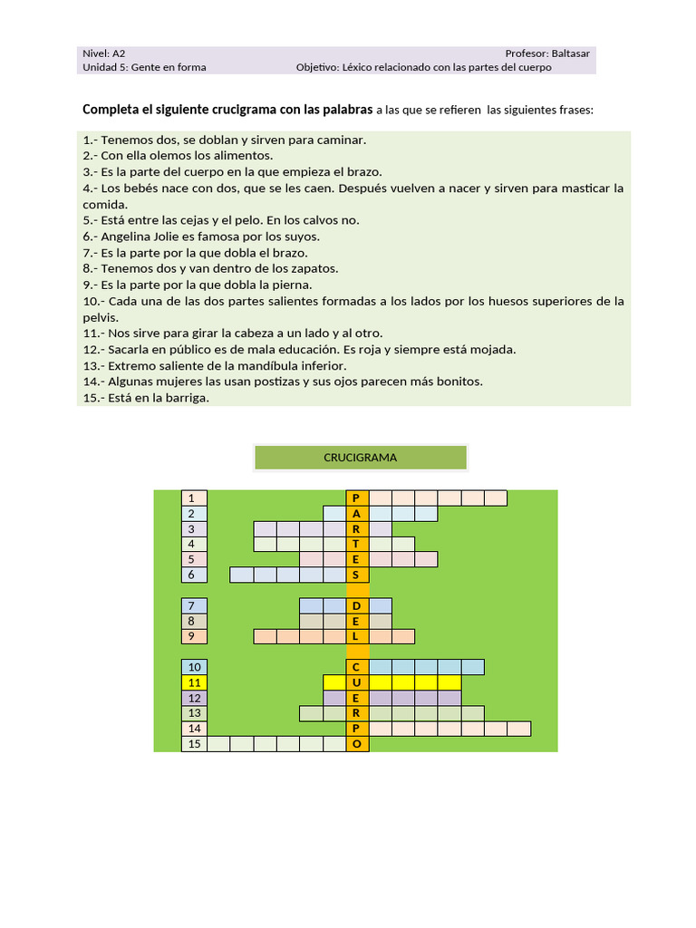 Crucigrama Partes Del Cuerpo | PDF